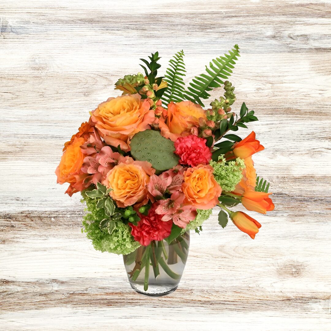 Captivated Allure – RoseAmongThorns